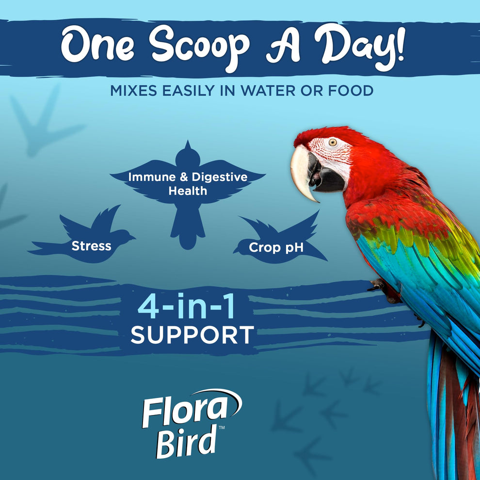 Flora Bird Probiotic Powder Supplement - Vital Planet – Vital Planet Shop