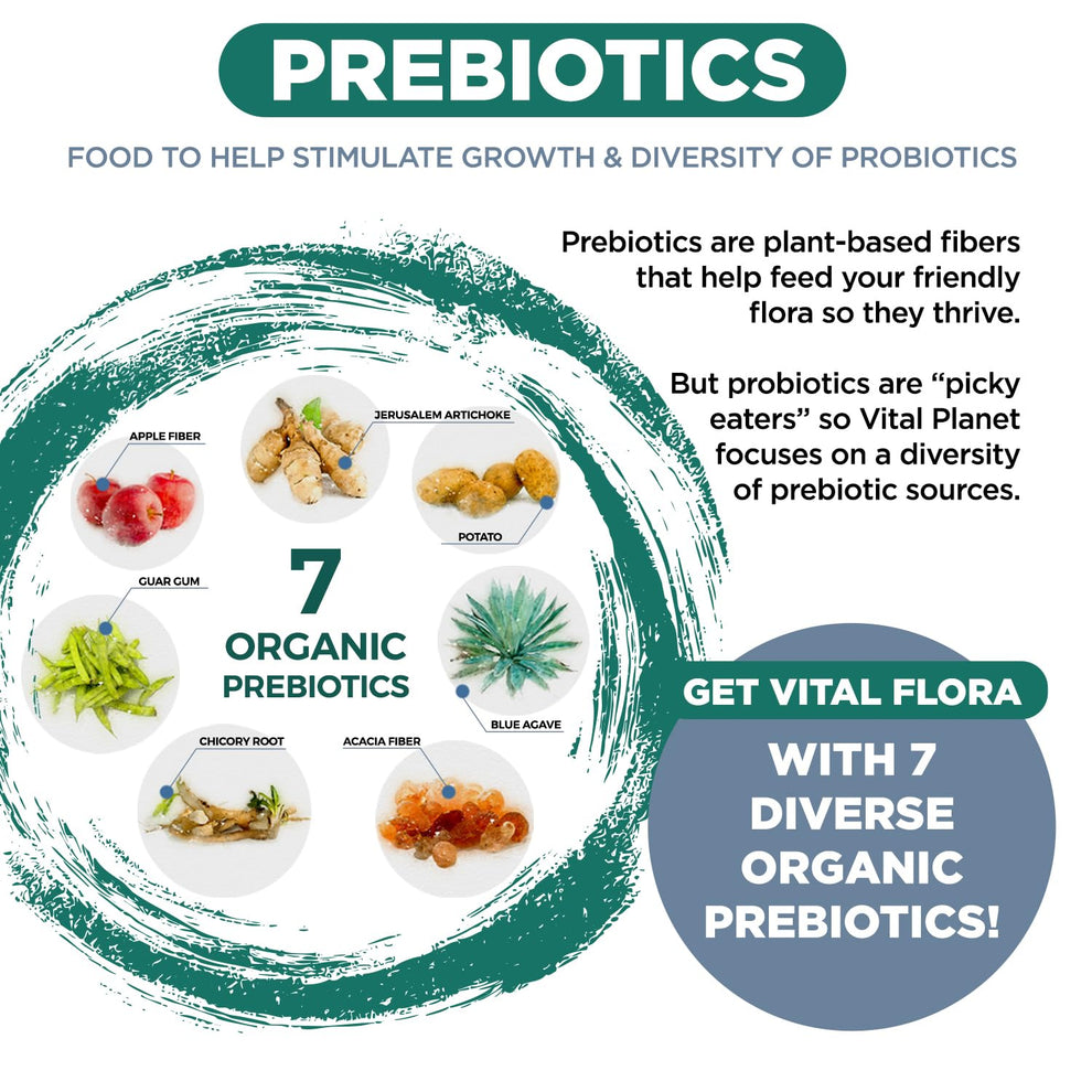 Vital Flora Ultra Daily Probiotic Shelf Stable 30ct - Vital Planet ...