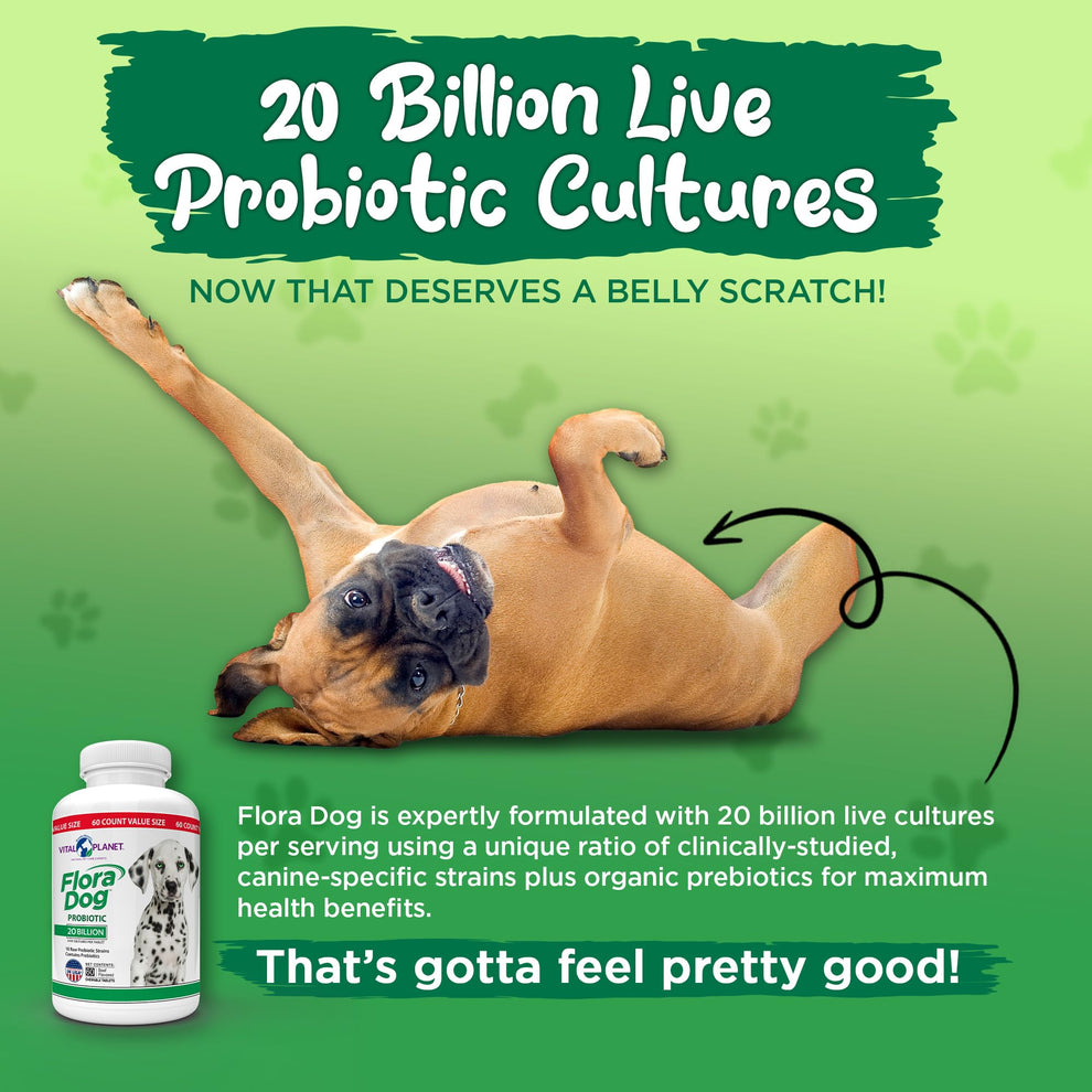 Flora Dog Probiotic Chewable Tablets 60ct - Vital Planet – Vital Planet ...