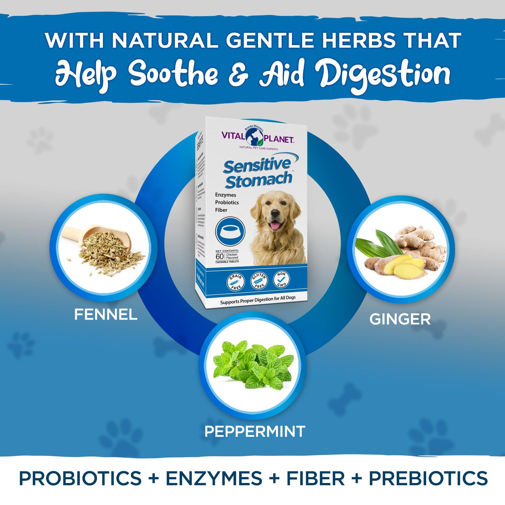 Sensitive Stomach Digestive Support for Dogs - Vital Planet – Vital ...