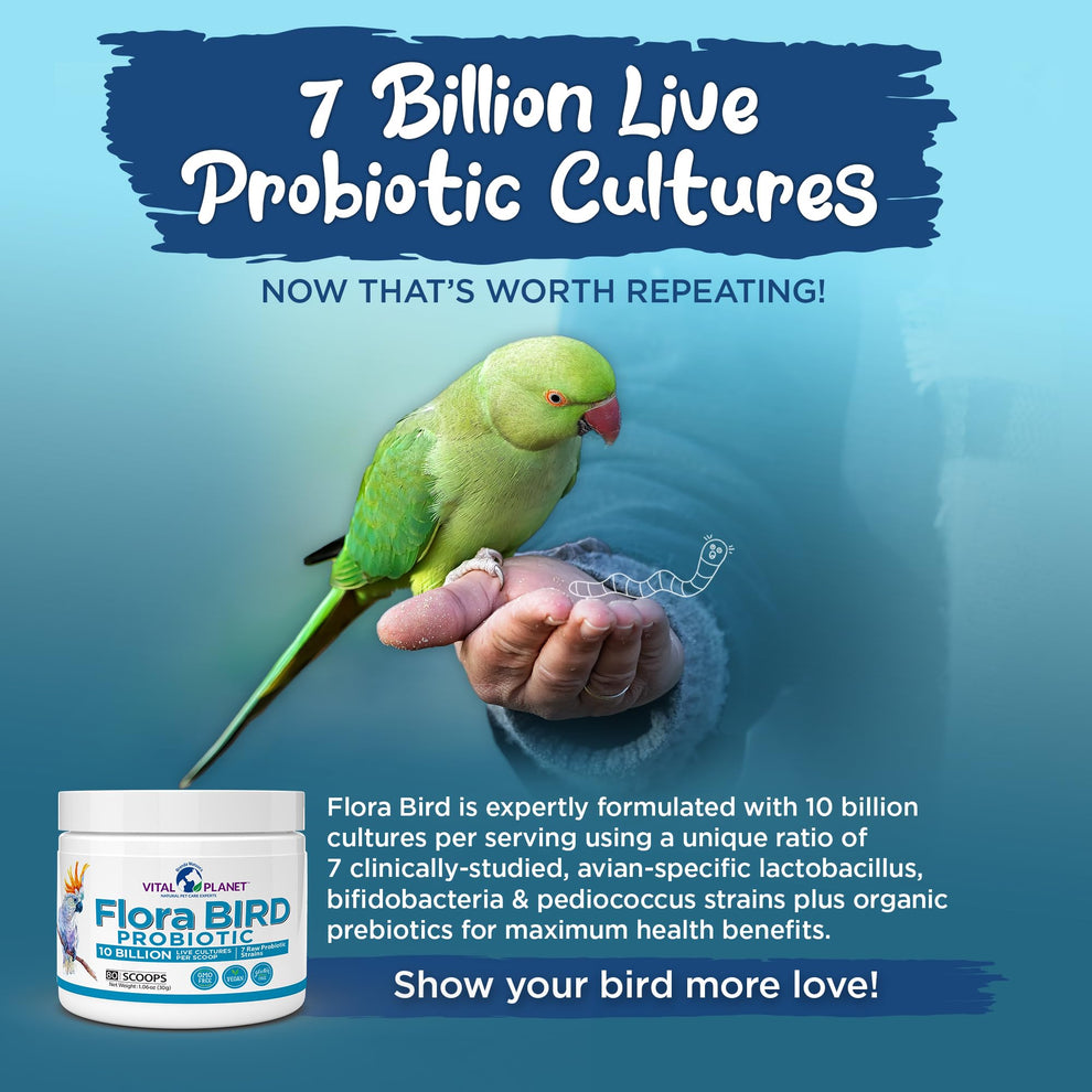 Flora Bird Probiotic Powder Supplement - Vital Planet – Vital Planet Shop