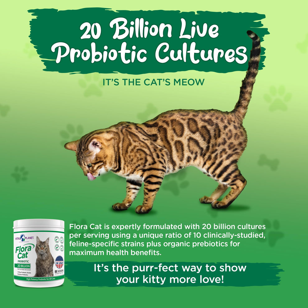 Flora Cat Probiotic Powder Supplement - Vital Planet – Vital Planet Shop