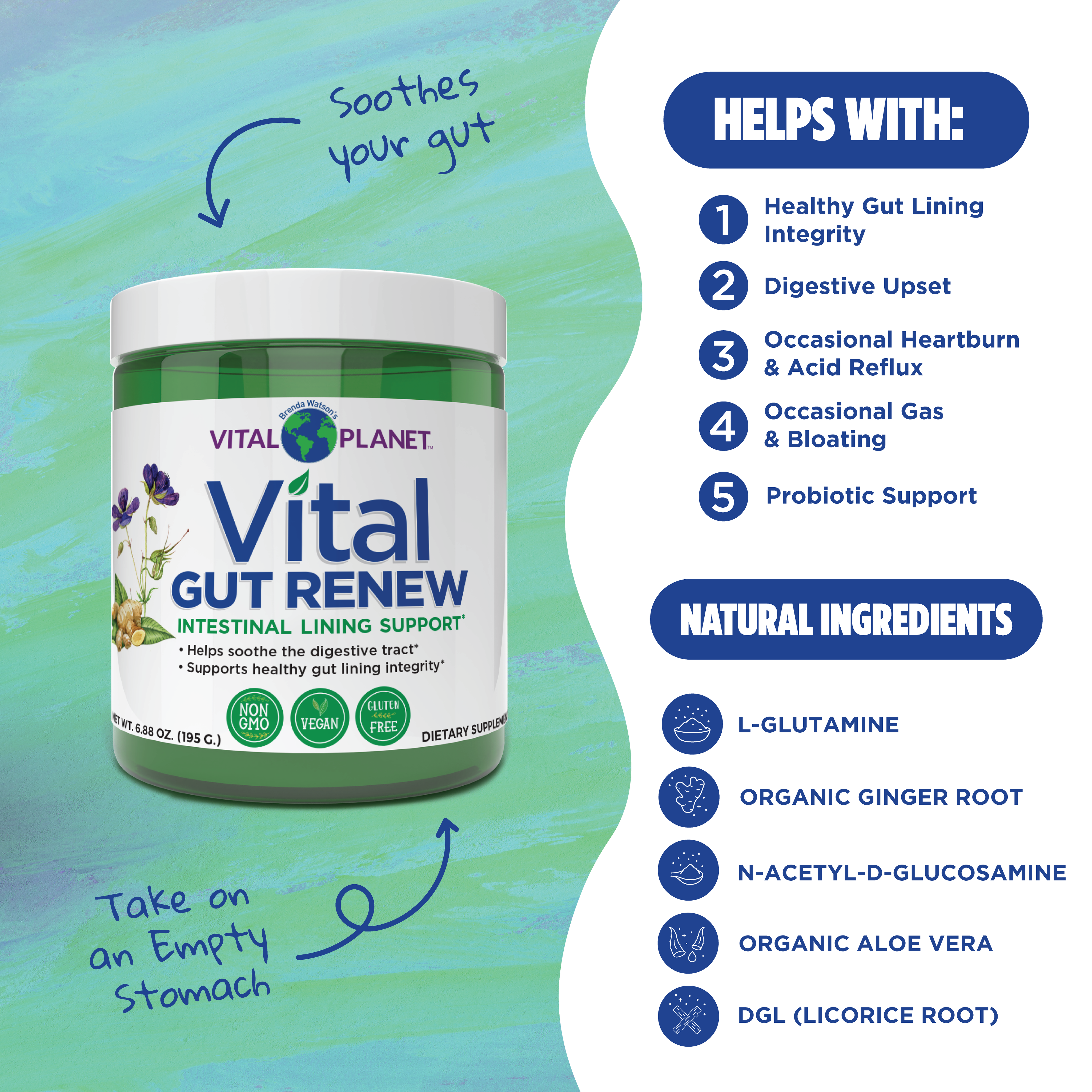 Vital Gut Renew Powder - Vital Planet – Vital Planet Shop